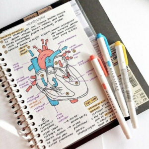 Note Taking and Learning in your Bullet Journal